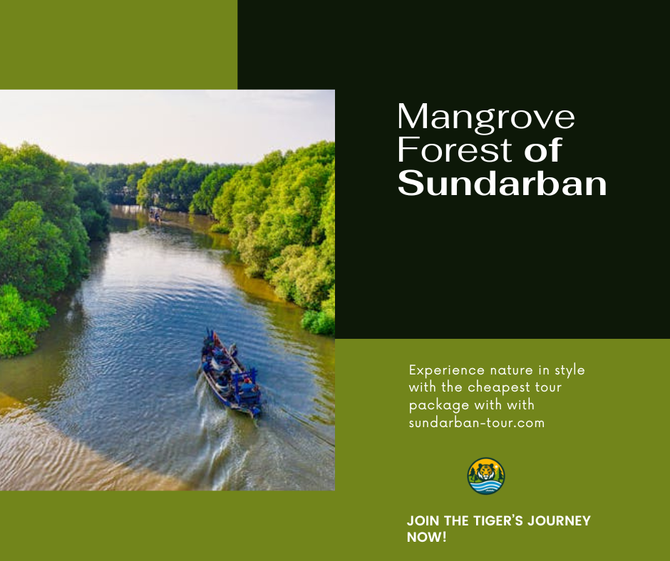 The Mangrove Forest of Sundarban - A Complete Guide